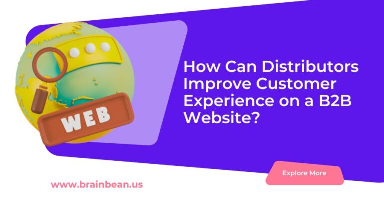 How Can Distributors Improve Customer Experience on a B2B Website? - BrainBean Technolabs